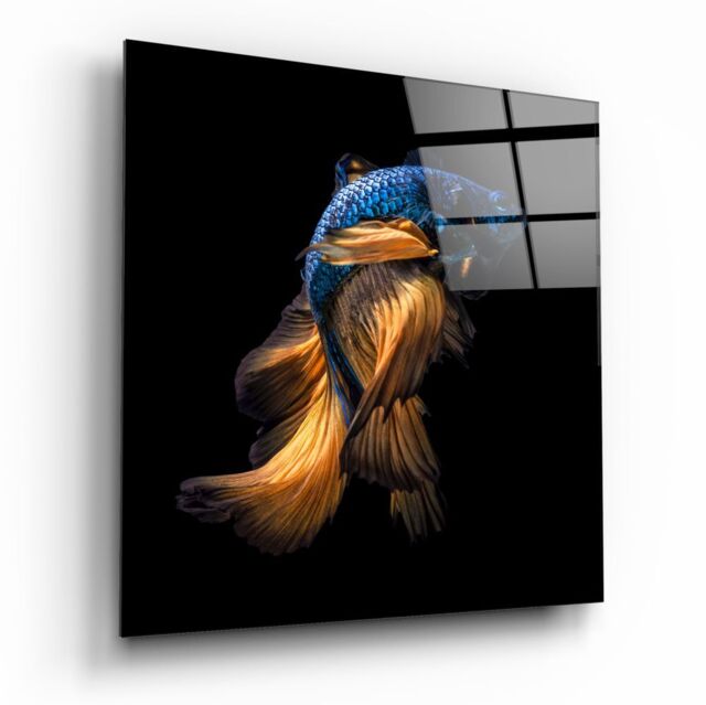 Betta Fish Glass Wall Art - - That Home Shop by That Home Shop ...