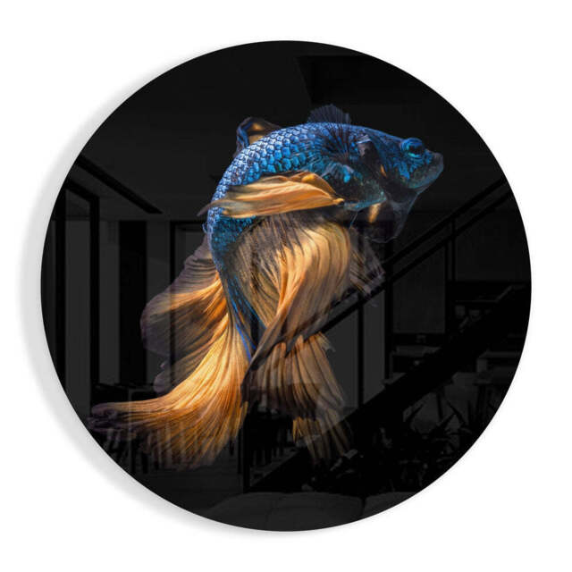 Fish Glass Wall Art - - That Home Shop by That Home Shop | ufurnish.com