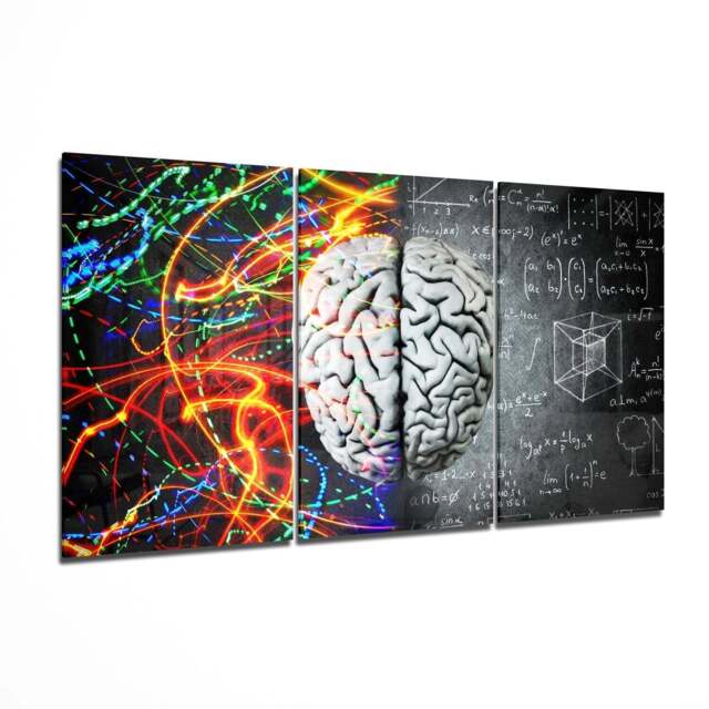 Brain Mega Glass Wall Art - - That Home Shop by That Home Shop ...