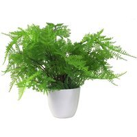 Mini Fern Artificial Potted Lady Fern - Botanical Fern by The Range ...