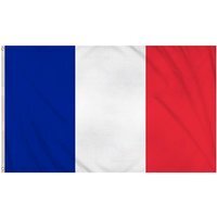 Flag - 5x3ft - France - Colour by The Range | ufurnish.com