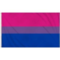 Flag - 5x3ft - Bisexual - Colour by The Range | ufurnish.com
