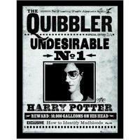 Harry Potter (The Quibbler) Framed Print by The Range | ufurnish.com
