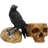 Salems Familiar Gothic Raven Skull Trinket Box - 27cm by The Range ...