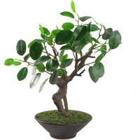 Artificial Bonsai Tree - Luxury Mini Ficus Bonsai / 35cm / 40cm by The ...