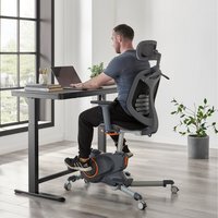 Atticus Adjustable Office Gaming Desk with Anneka Exercise Bike Chair ...