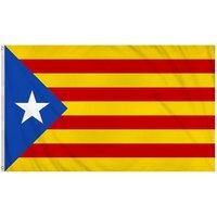 Flag - 5x3ft - Catalunya - Colours by The Range | ufurnish.com