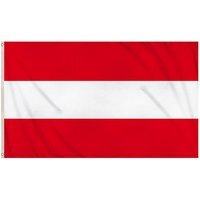 Flag - 5x3ft - Austria - Colours by The Range | ufurnish.com