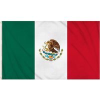 Flag - 5x3ft - Mexico - Colours by The Range | ufurnish.com