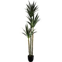 Artificial Triple Trunk Yucca Tree, 180cm - Green by The Range ...