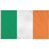 Flag - 5x3ft - Ireland - Colours by The Range | ufurnish.com