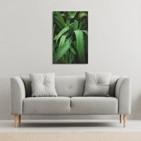Atmospheric background, Selective focus Canvas Print - Green / 101cm ...