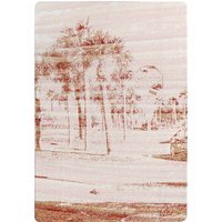 Bronze Palm Rug - Pink / 150cm by The Range | ufurnish.com