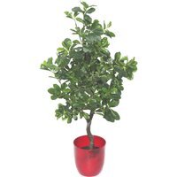 Geranium Aralia (Polyscias Guilfoylei) Artificial Plant Tree - Green by ...
