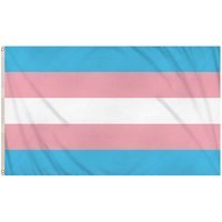 Flag - 5x3ft - Transgender - Colours by The Range | ufurnish.com