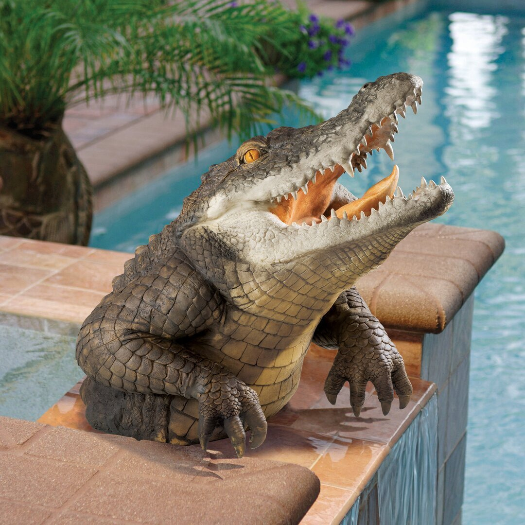 Snapping Swamp Gator Statue by Wayfair | ufurnish.com