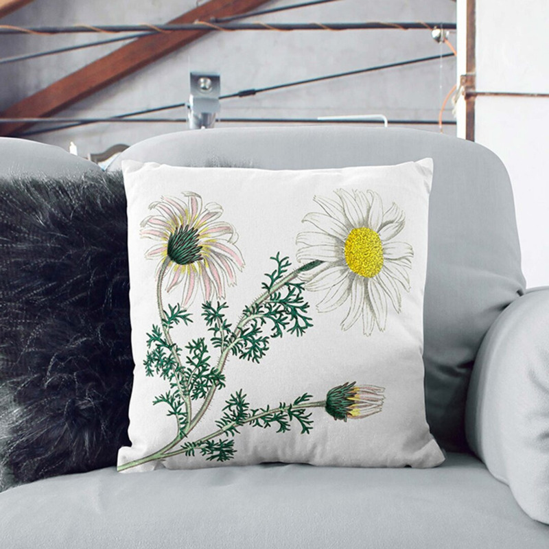 Mount Atlas Daisy Illustration Cushion with Filling by Wayfair ...