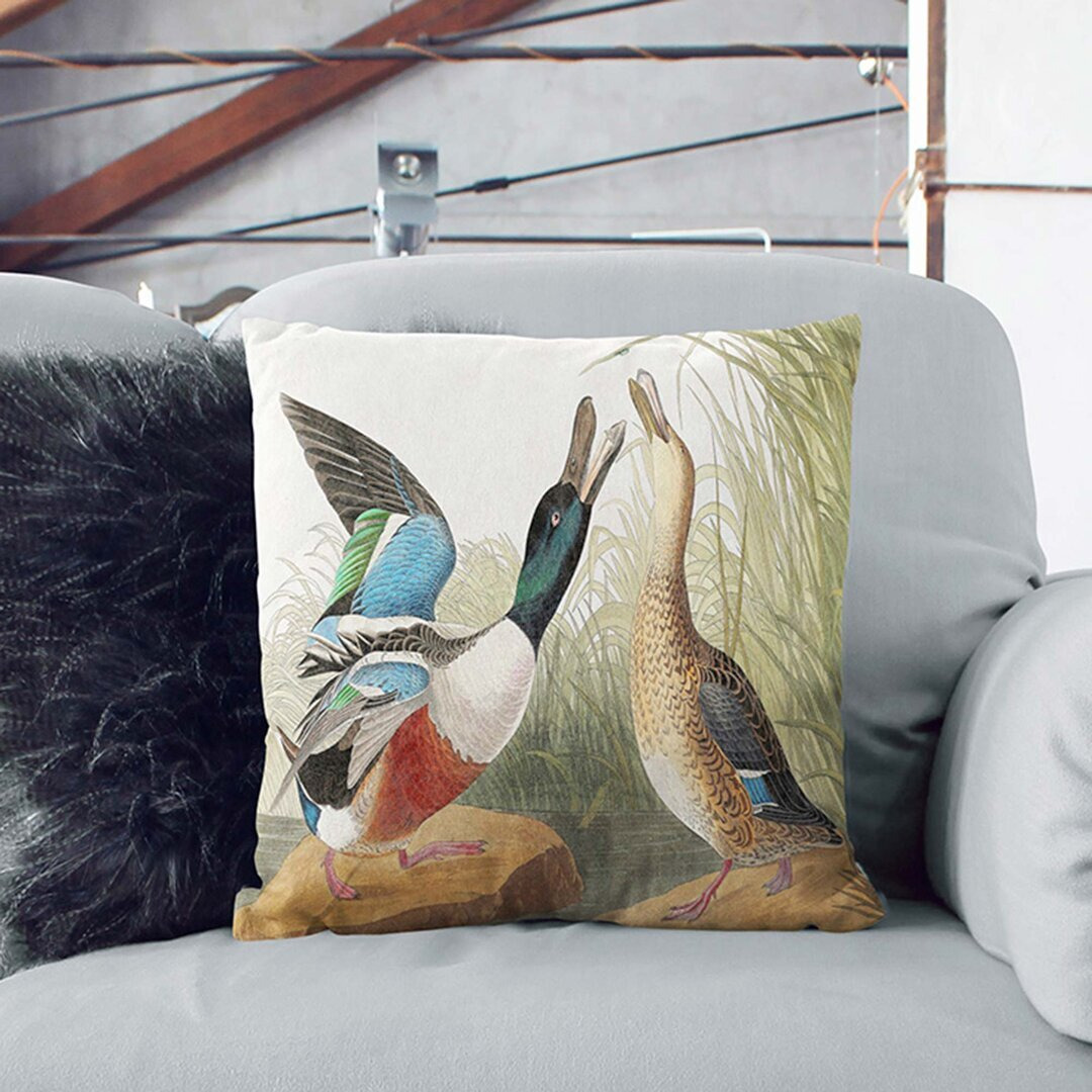 Shoveller Duck by John James Audubon Cushion with Filling by Wayfair ...