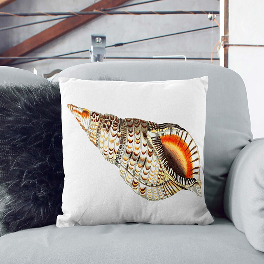 Sea Trumpet Shell by George Shaw Cushion with Filling by Wayfair ...