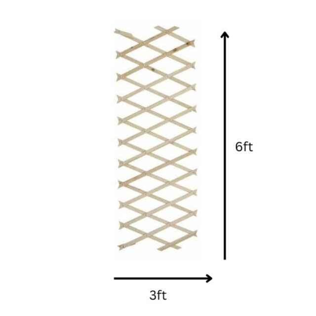 Trellis, Set Of 3 Expanding 6FT X 3FT Wooden Trellis Home And Garden ...