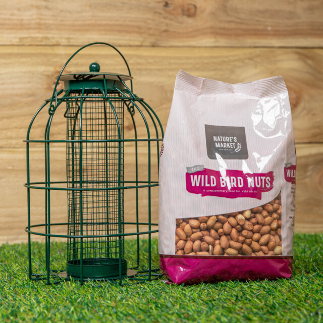 Metal Hanging Bird Nut Feeder With Squirrel Guard & Pack Of Nut Feed by ...
