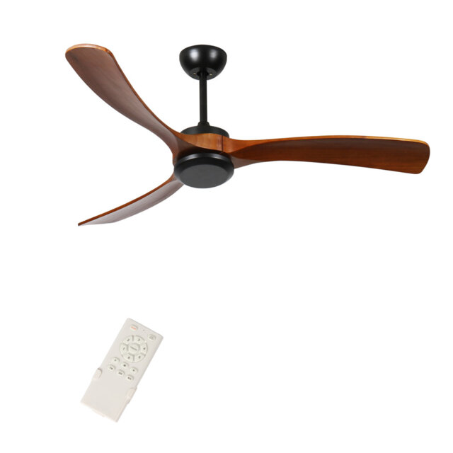 Ceiling Fan Globe Light Kit by Wayfair | ufurnish.com