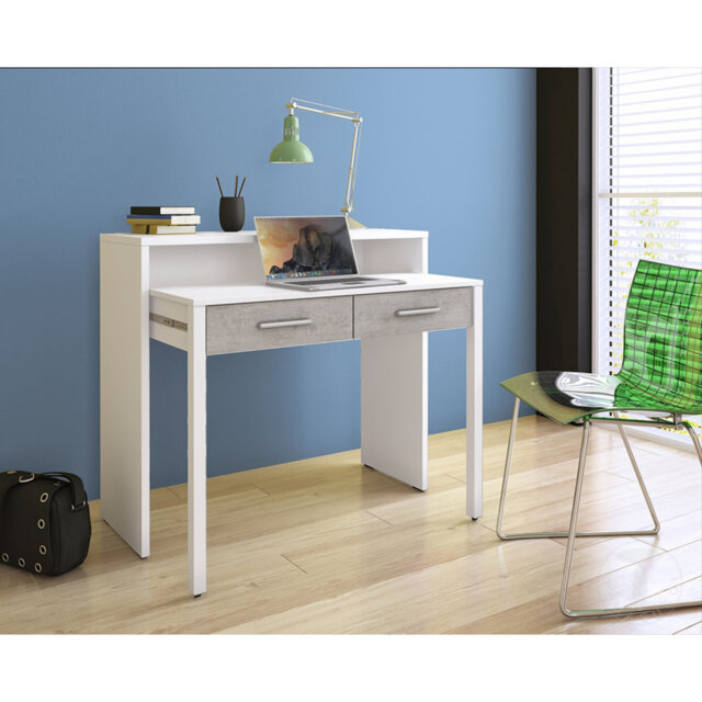 Hidden Computer Desk by Wayfair | ufurnish.com