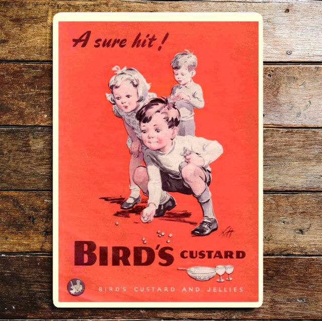 Birds Custard a Sure Hit Metal Wall Décor by Wayfair | ufurnish.com