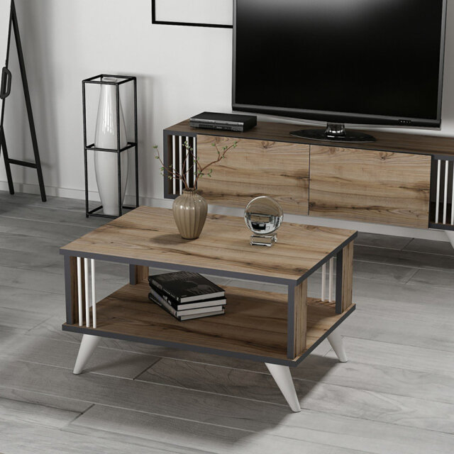 Gateshead Coffee Table with Storage by Wayfair | ufurnish.com