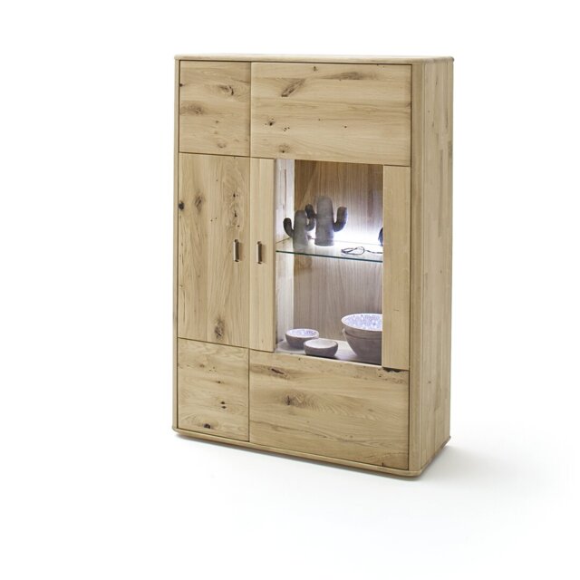 Shepherd Display Cabinet with Lighting by Wayfair | ufurnish.com