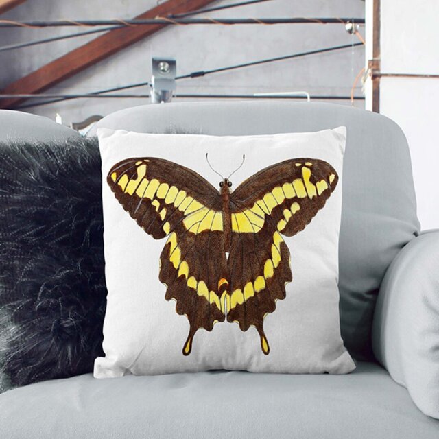 A Papilio Butterfly by George Shaw Cushion with Filling by Wayfair ...