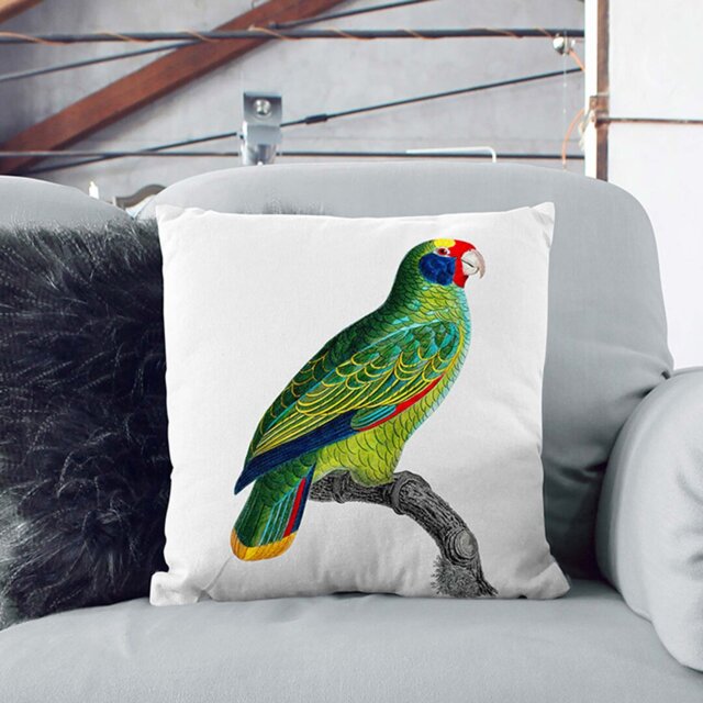 Red and Blue Amazon Parrot by F. Levaillant Cushion with Filling by ...