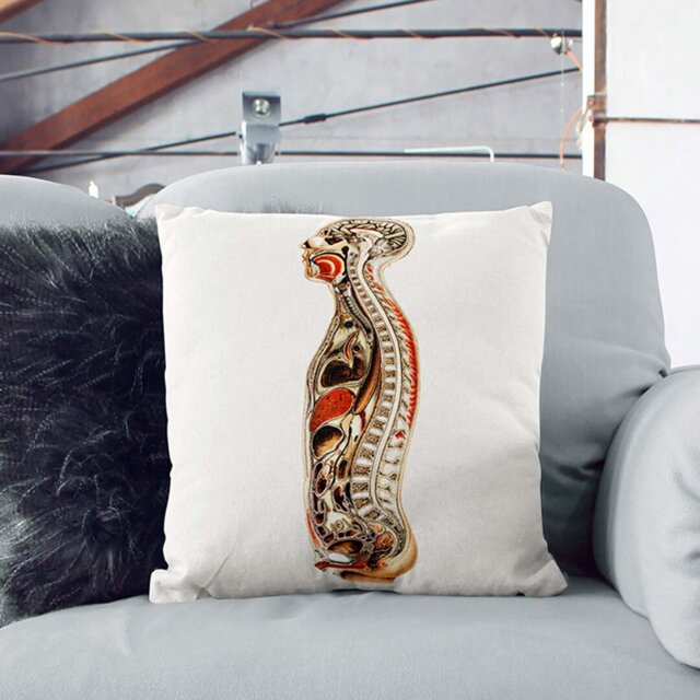 Anatomy of the Human Body Cushion with Filling by Wayfair | ufurnish.com