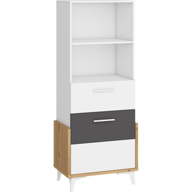 Samson Bookcase by Wayfair | ufurnish.com