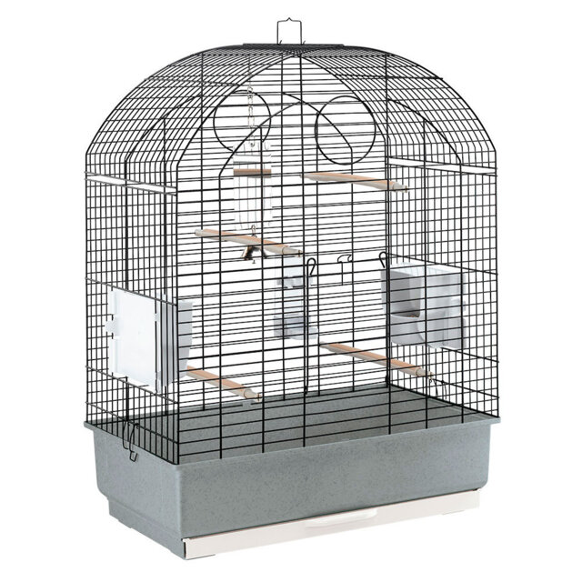 80Cm Dome Top Hanging Bird Cage with Perch by Wayfair | ufurnish.com