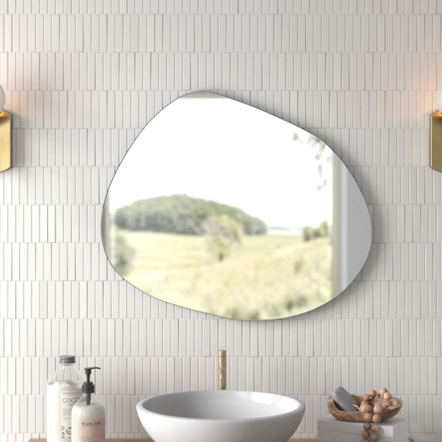 Dorothea Novelty Wood Framed Wall Mounted Accent Mirror in Black by ...