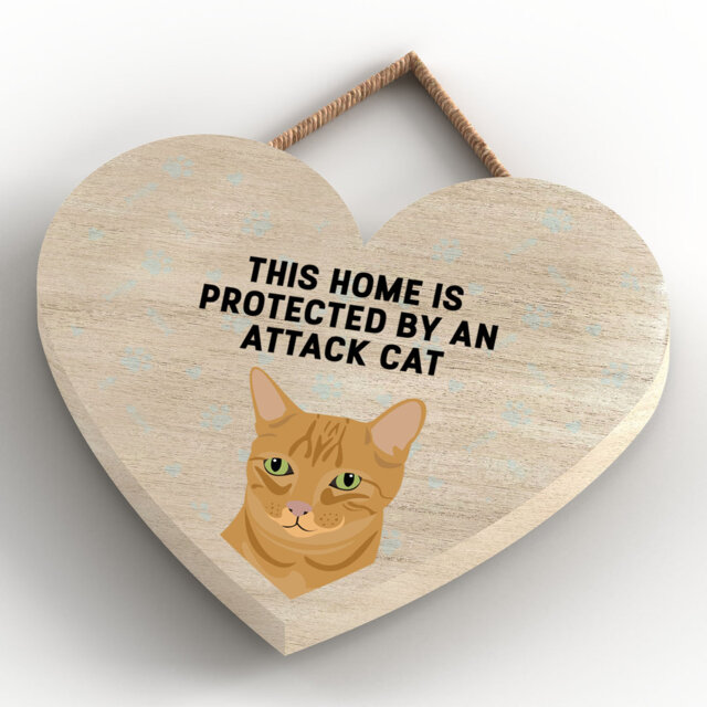 Cat 8 Home Protected By Attack Cat Wall Décor by Wayfair | ufurnish.com