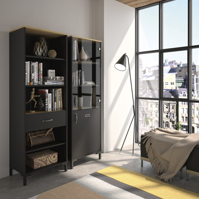 Lalaina Bookcase by Wayfair | ufurnish.com