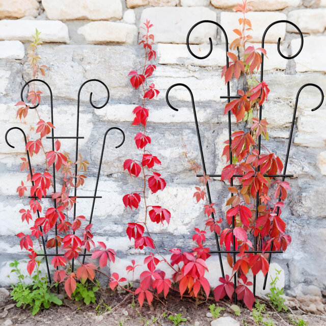 109cm H x 43cm W Metal Fan Trellis by Wayfair | uFurnish.com