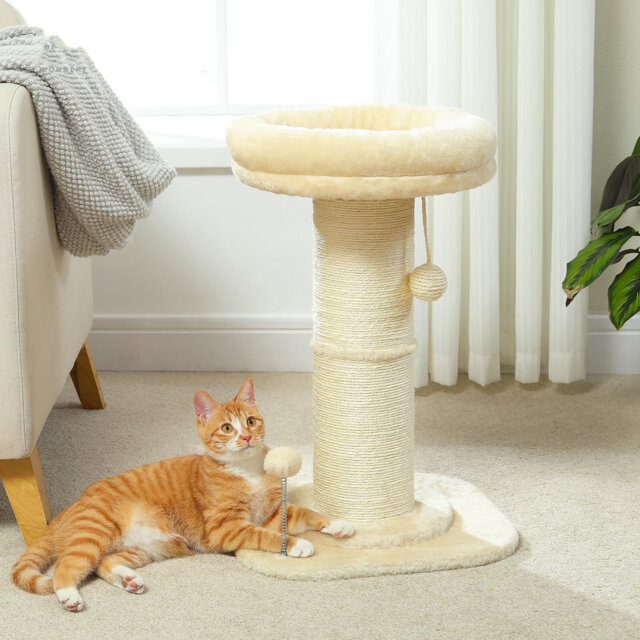 Cat Scratching Post, Small Cat Tree with Thick Scratching Post and ...