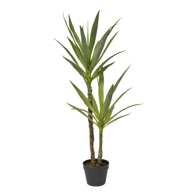Artificial Floor Agave Tree in Pot by Wayfair | ufurnish.com