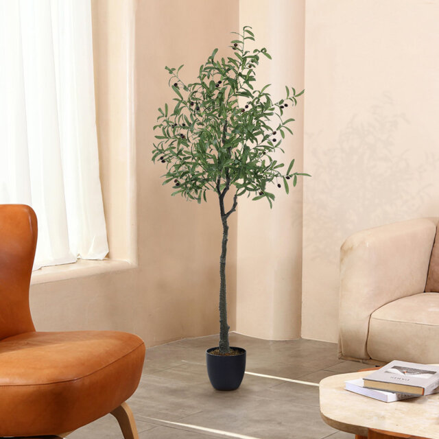 175cm Plant by Wayfair | ufurnish.com