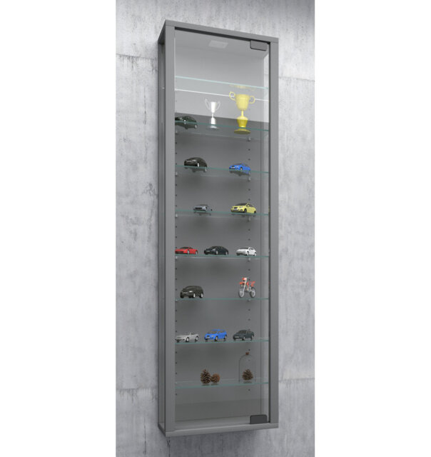 Stano Maxi Wall-Mounted Display Cabinet by Wayfair | ufurnish.com