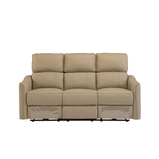 Antebi LEATHER ELECTRIC RECLINER by Wayfair | ufurnish.com