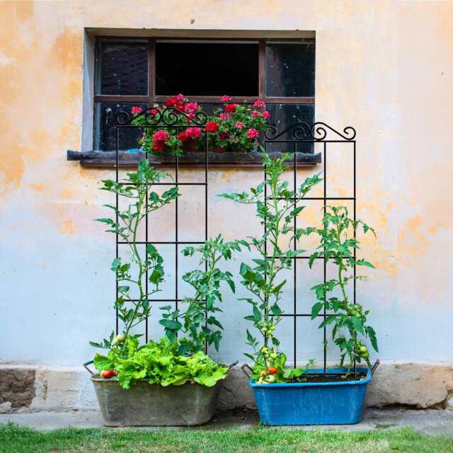 122 H x 30 W by Wayfair | ufurnish.com