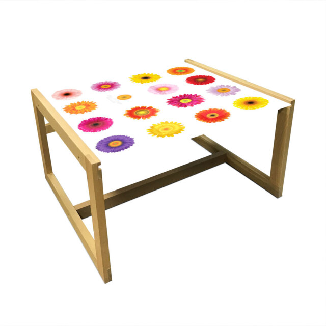 Gerber Daisy Coffee Table, Various Colorful Petals On Plain Backdrop ...