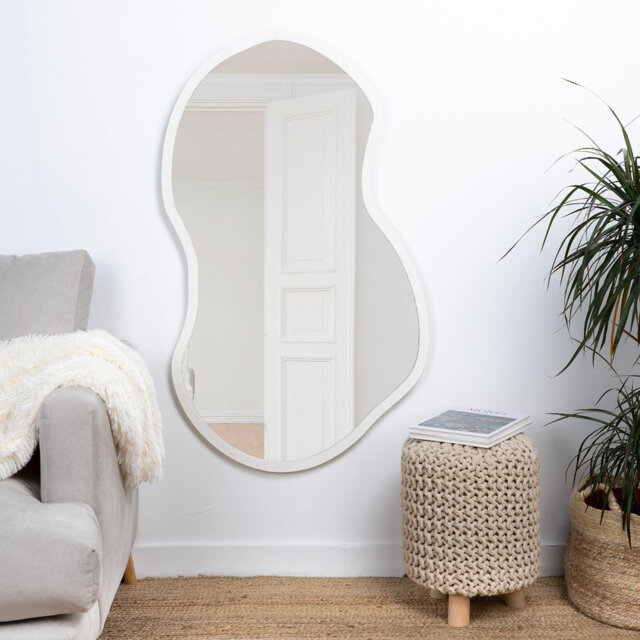 Leonetto Novelty Wood Framed Wall Mounted Accent Mirror in White by ...
