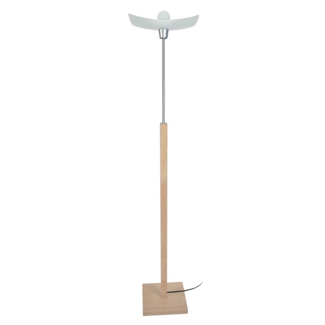 Rafe 160cm Floor Lamp by Wayfair | ufurnish.com