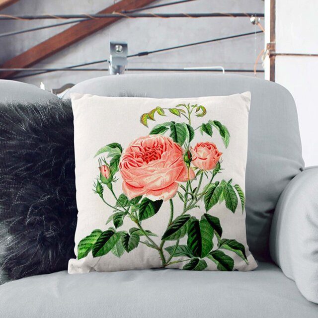 Cabbage Rose Illustrations by Charles D' Orbigny Cushion with Filling ...