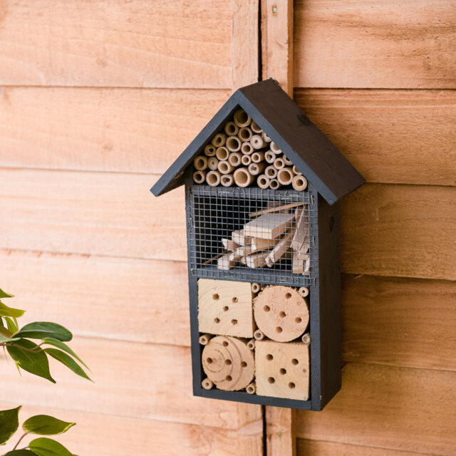 Abeline Mounted Bird House by Wayfair | ufurnish.com